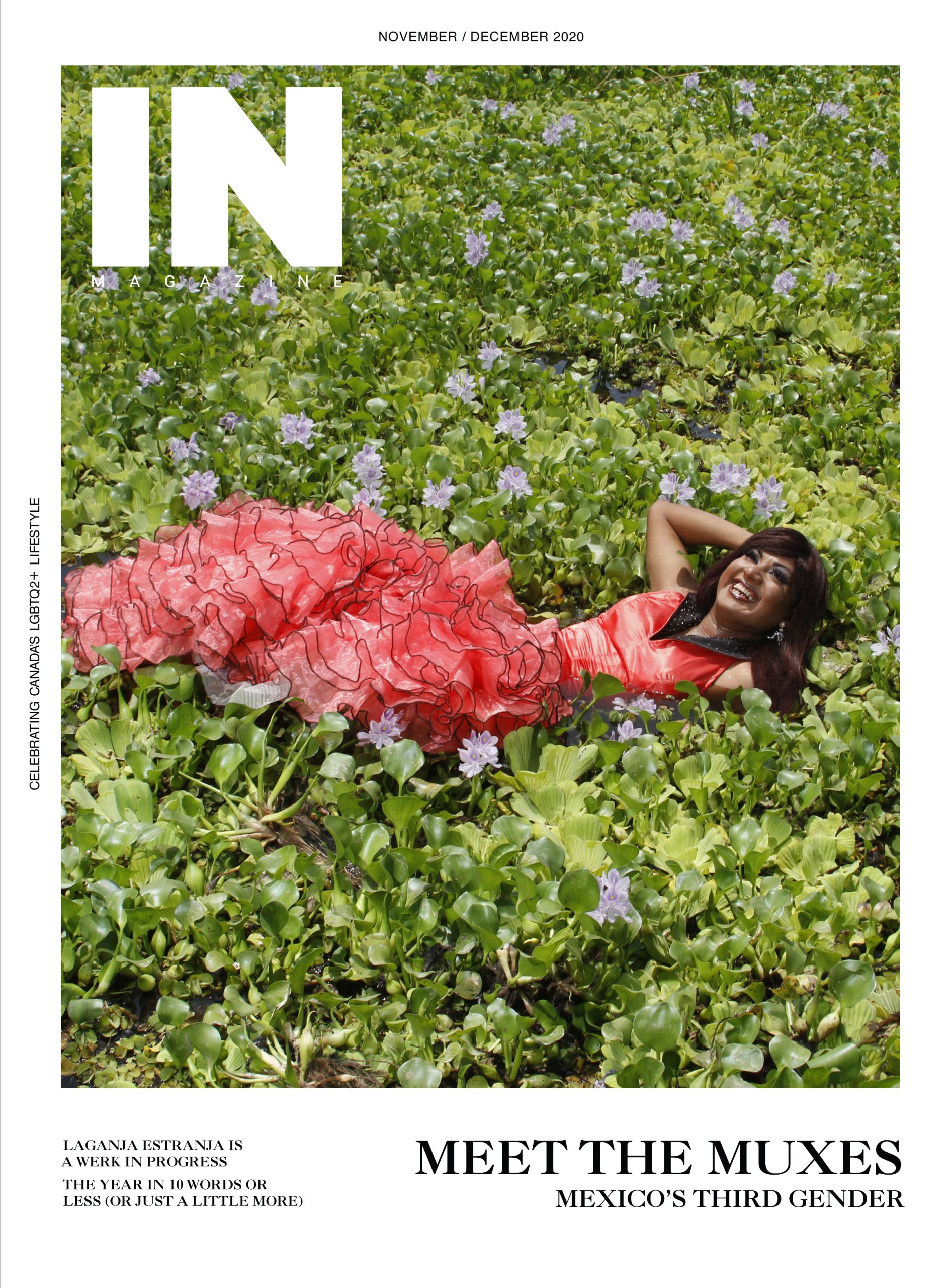 Digital Flipbook - November / December 2020 - IN Magazine